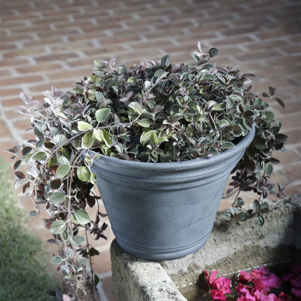 MACETAS COLONIALES Y RUSTICAS - Ardillaexpress